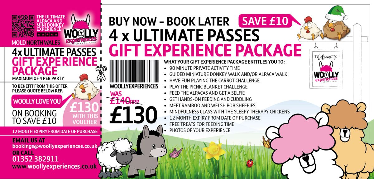 4 x Ultimate Gift Package Experience - New Year Special